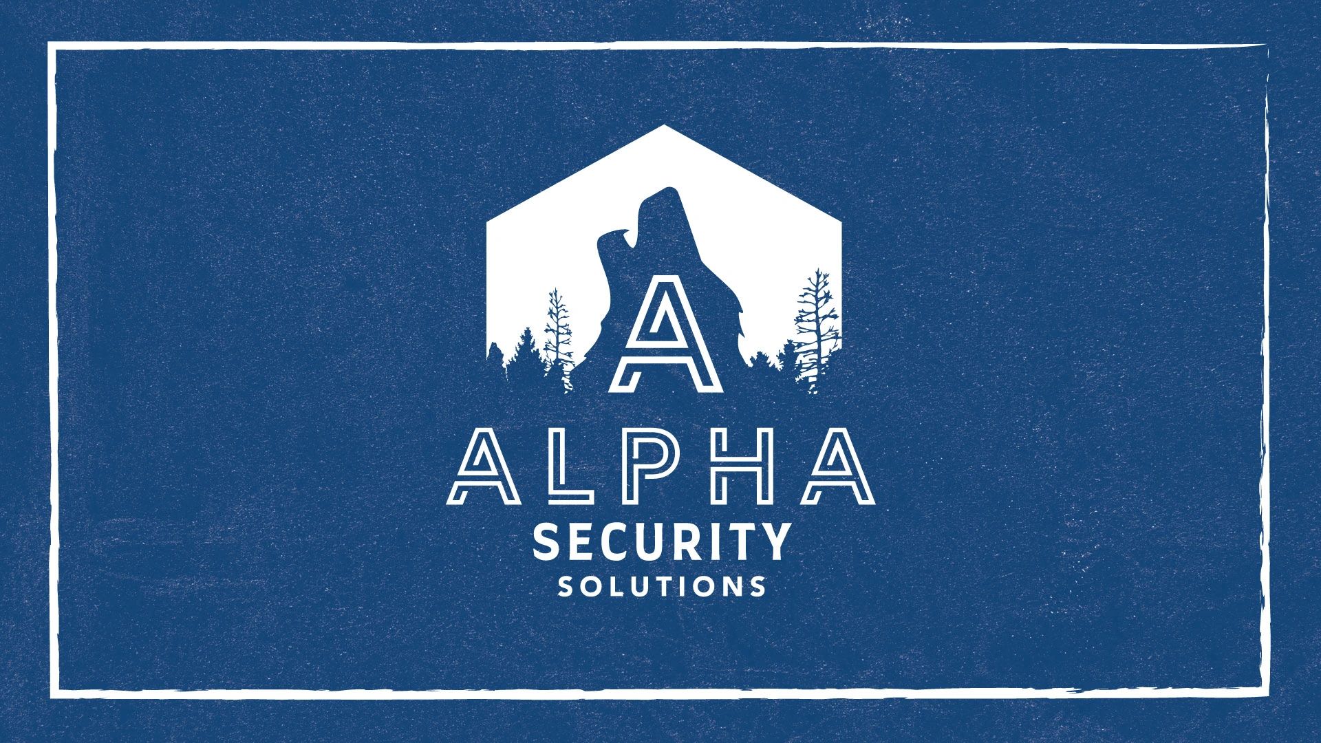 Property Security – AlphaSecuritySolutions